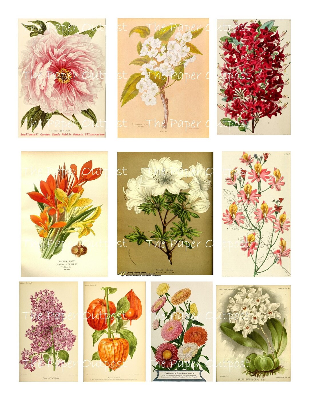 Precious Flowers Digikit Digital Kit Digital Printable Digital Digi Kit ...