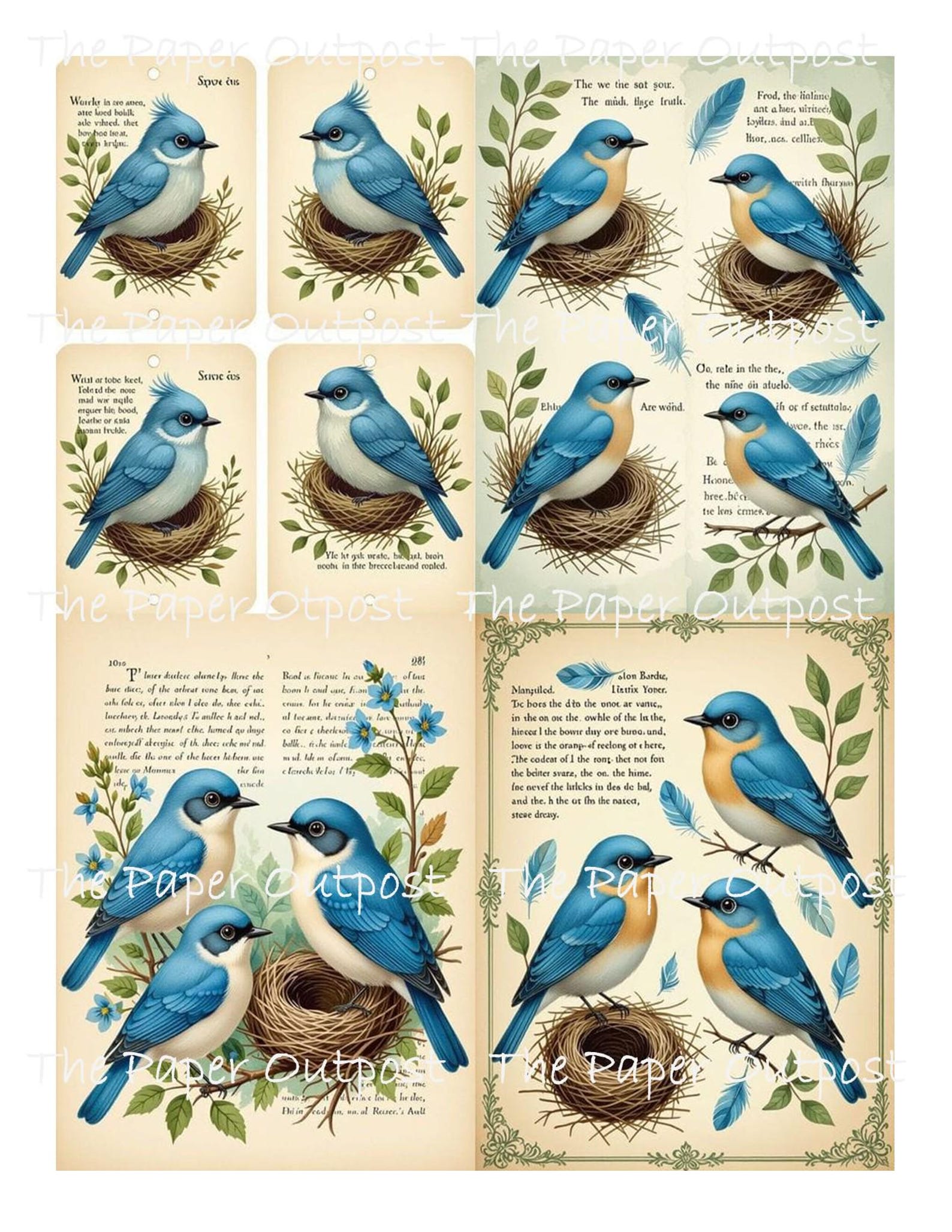 BLUE SONGBIRD Digikit Digital Printable Digital Blue Birds, Blue Song ...