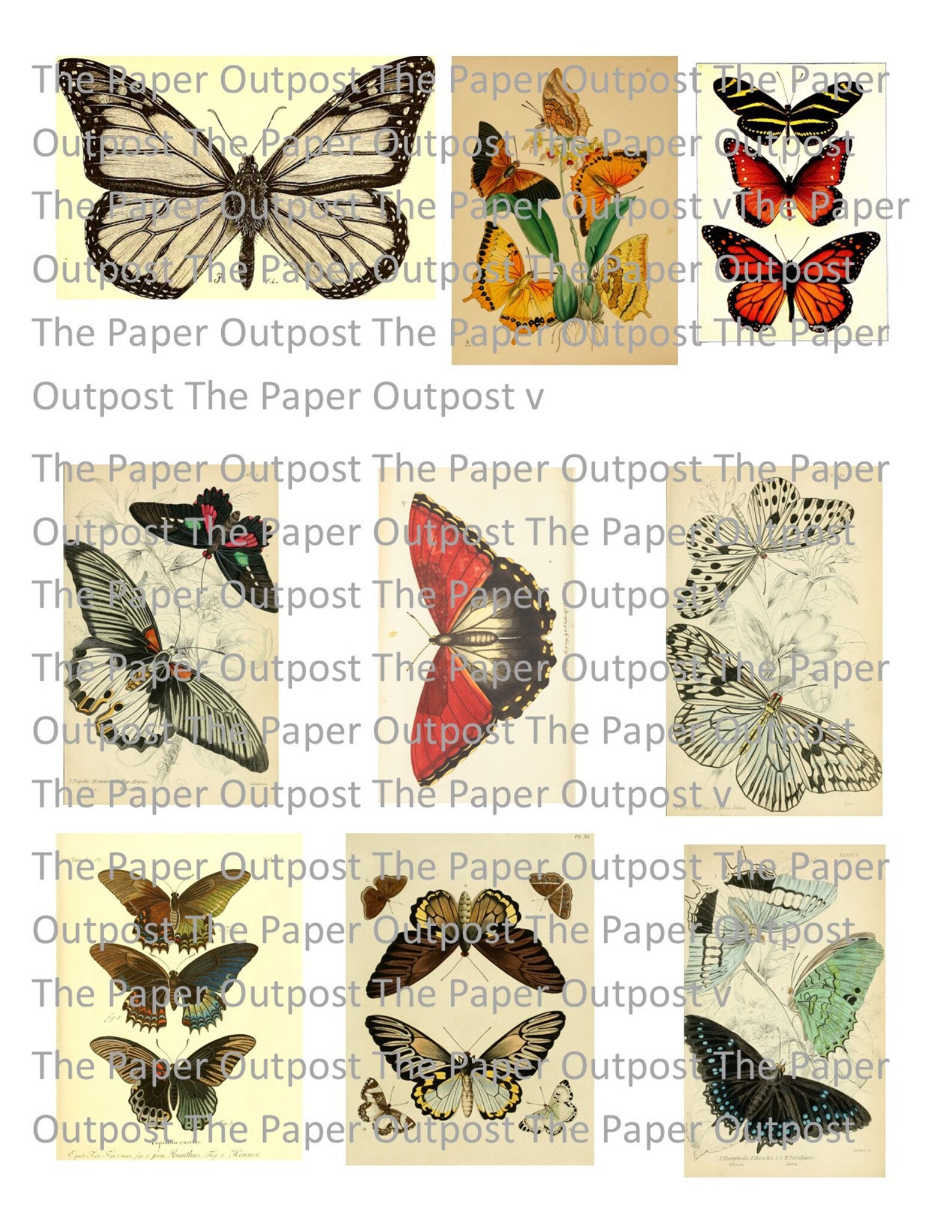 Butterfly 2 Vintage Digital Printable Kit Digital Kit Digi - Etsy