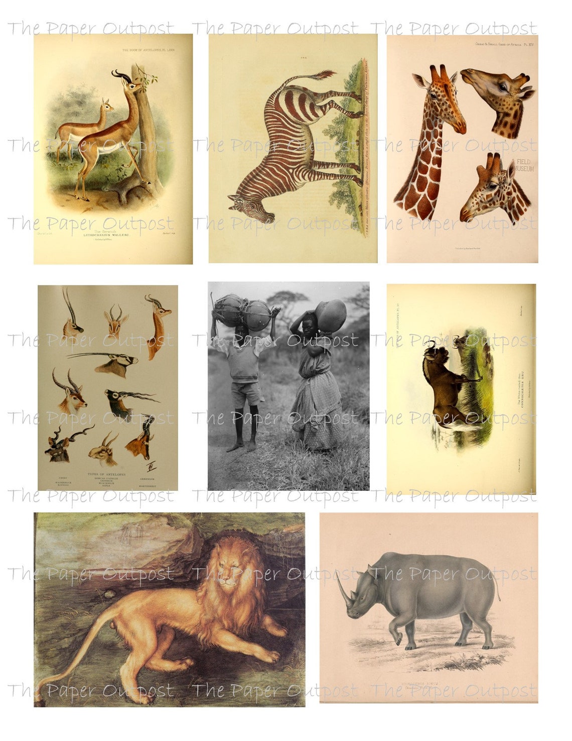 AFRICA Printable Digital Download Printable Image Digikit - Etsy