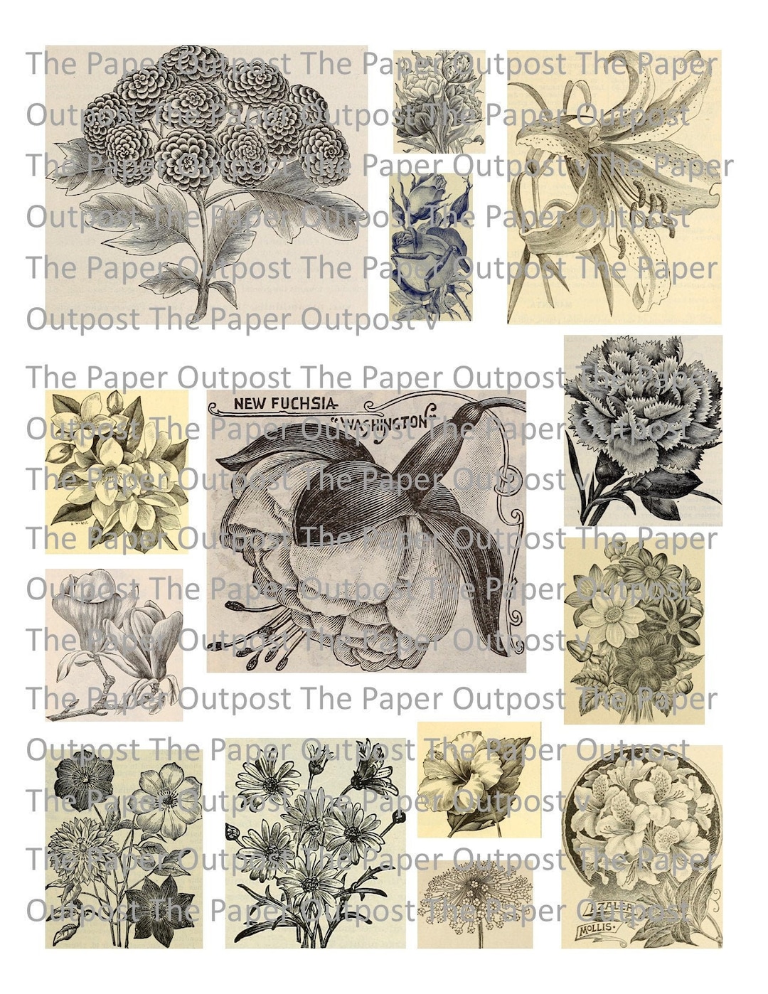 Black and White Flowers Tonal Digital Printable Kit Digital Kit Digi ...