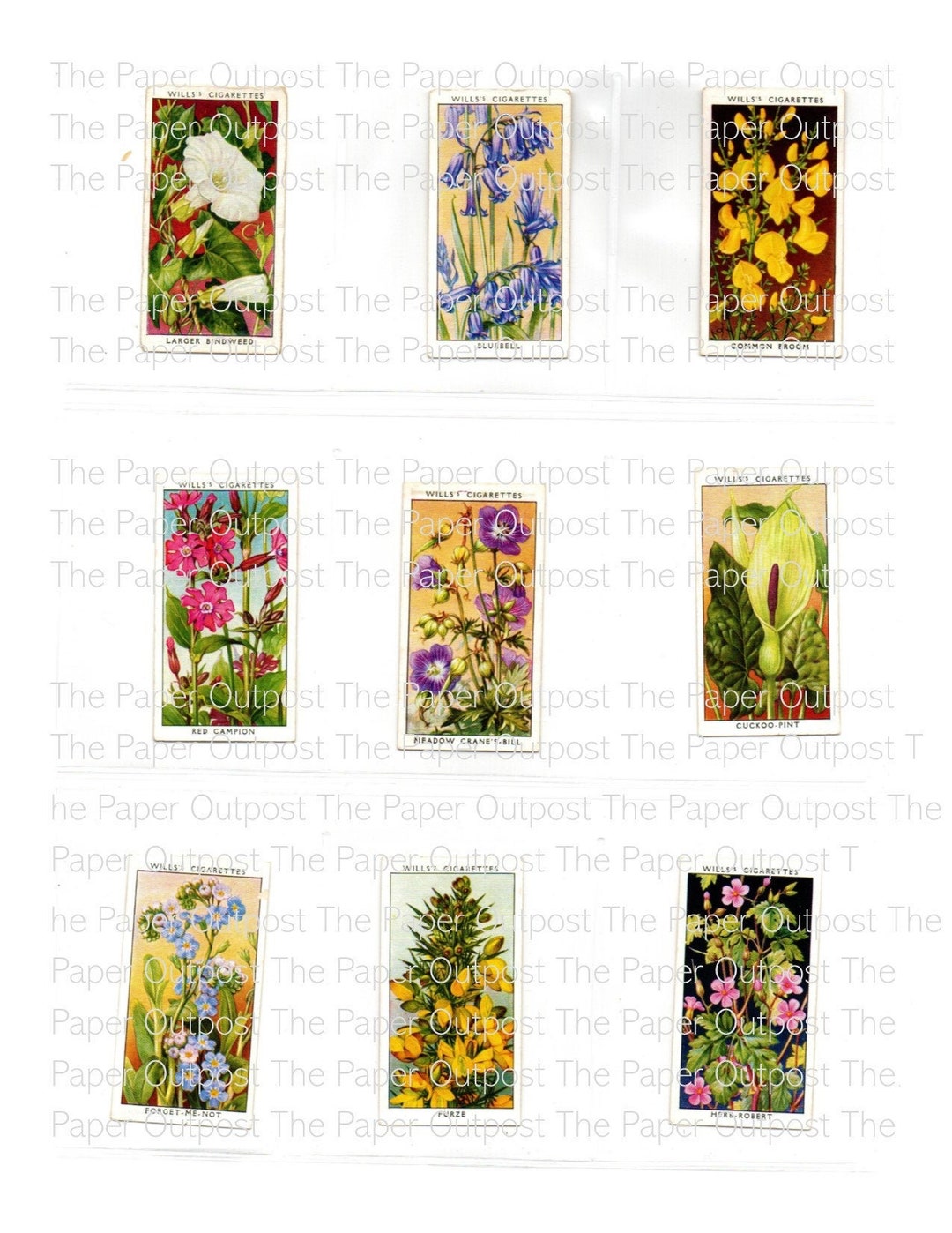 Vintage Flower Ephemera: Antique Floral Images for Junk Journals ...