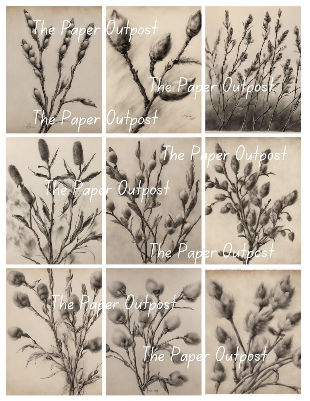 PUSSYWILLOW Vintage Digikit Digital Kit Digital Printable Digital Pussy ...