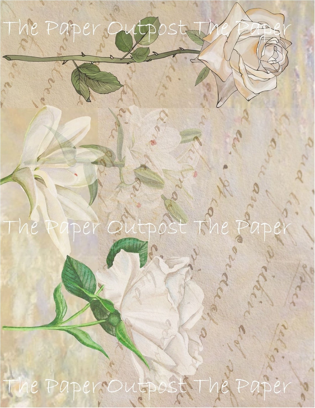 Vanilla Rose Signature Pages Digikit Digital Printable Background ...