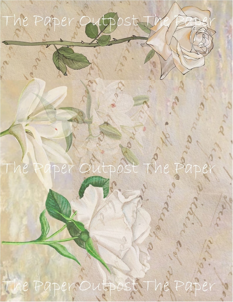 Vanilla Rose Signature Pages Digikit Digital Printable - Etsy