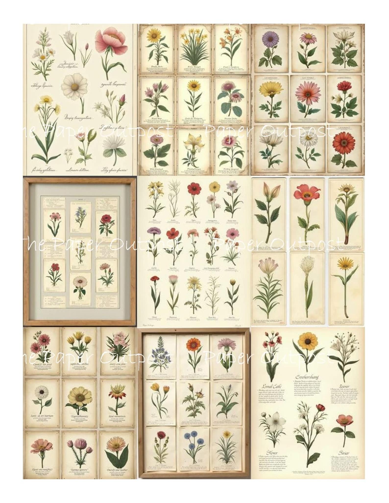 Printable Flower Cards Digikit: Botanical Ephemera (digital Download ...