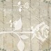 Vanilla Rose Signature Pages Digikit Digital Printable Background ...