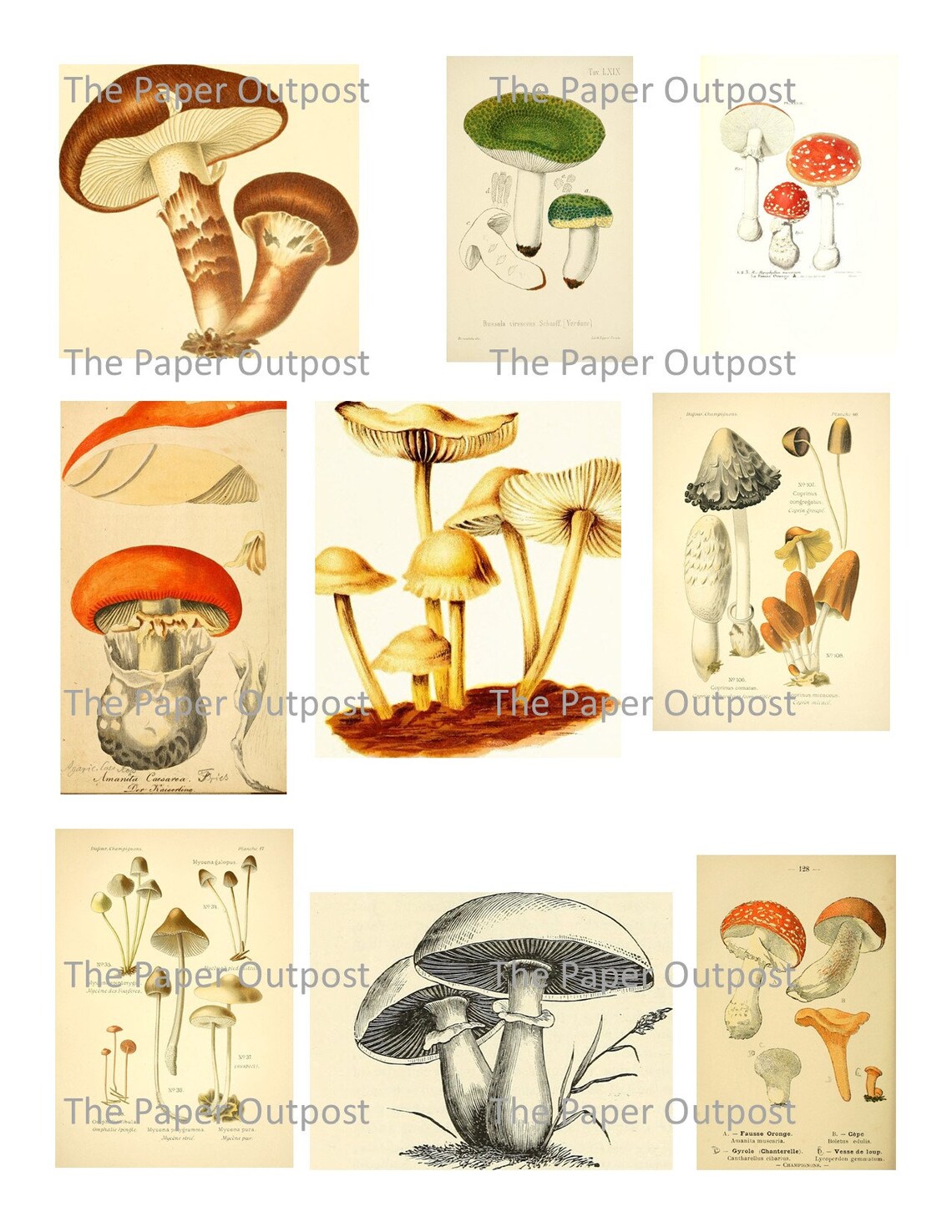 Mushroom Mushrooms Digital Printable Kit Digital Kit Digi Kit - Etsy