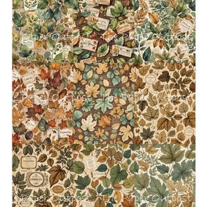 Fallen Leaves Digital Kit: Autumn Printable Images (digital Download ...
