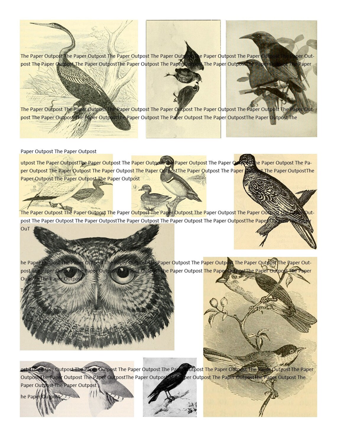 Birds Black & White Birds Tonal Digital Printable Kit Digital | Etsy