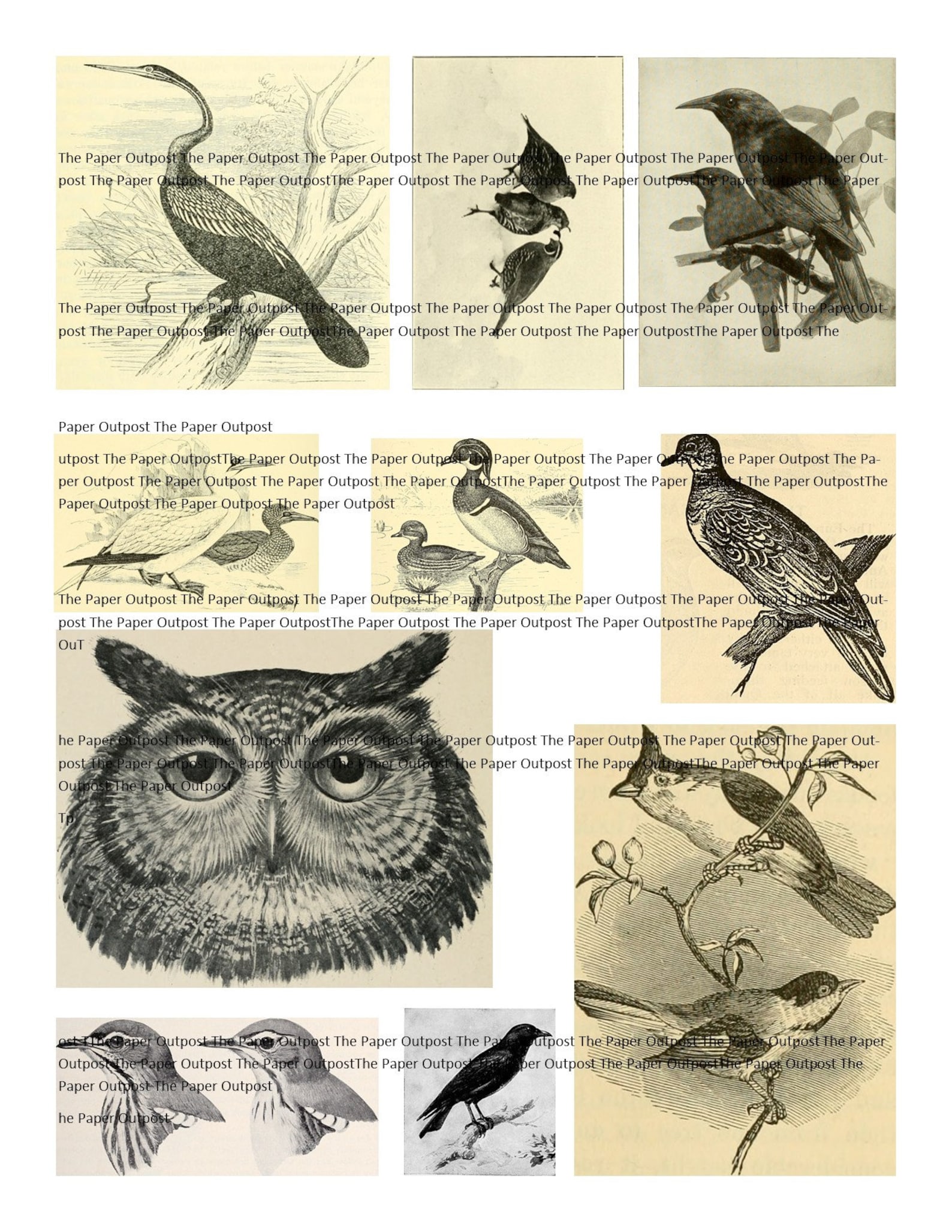 Birds Black & White Birds Tonal Digital Printable Kit Digital | Etsy