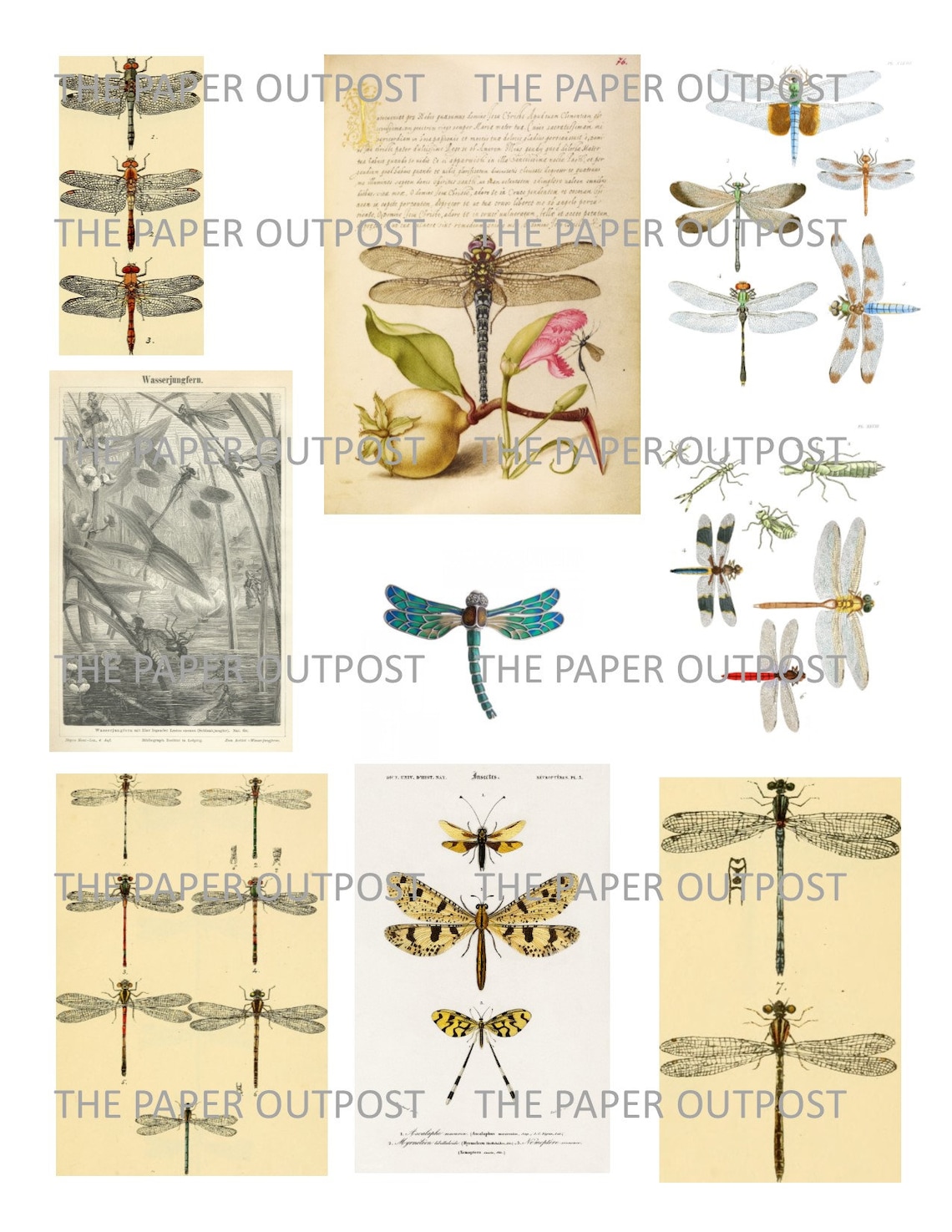 Dragonfly Digital Printable Kit Vintage Dragon Fly Digital Kit - Etsy