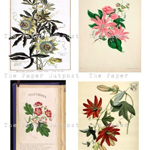 FLOWERY TIMES Printable Digital Download Printable Image, Digikit ...