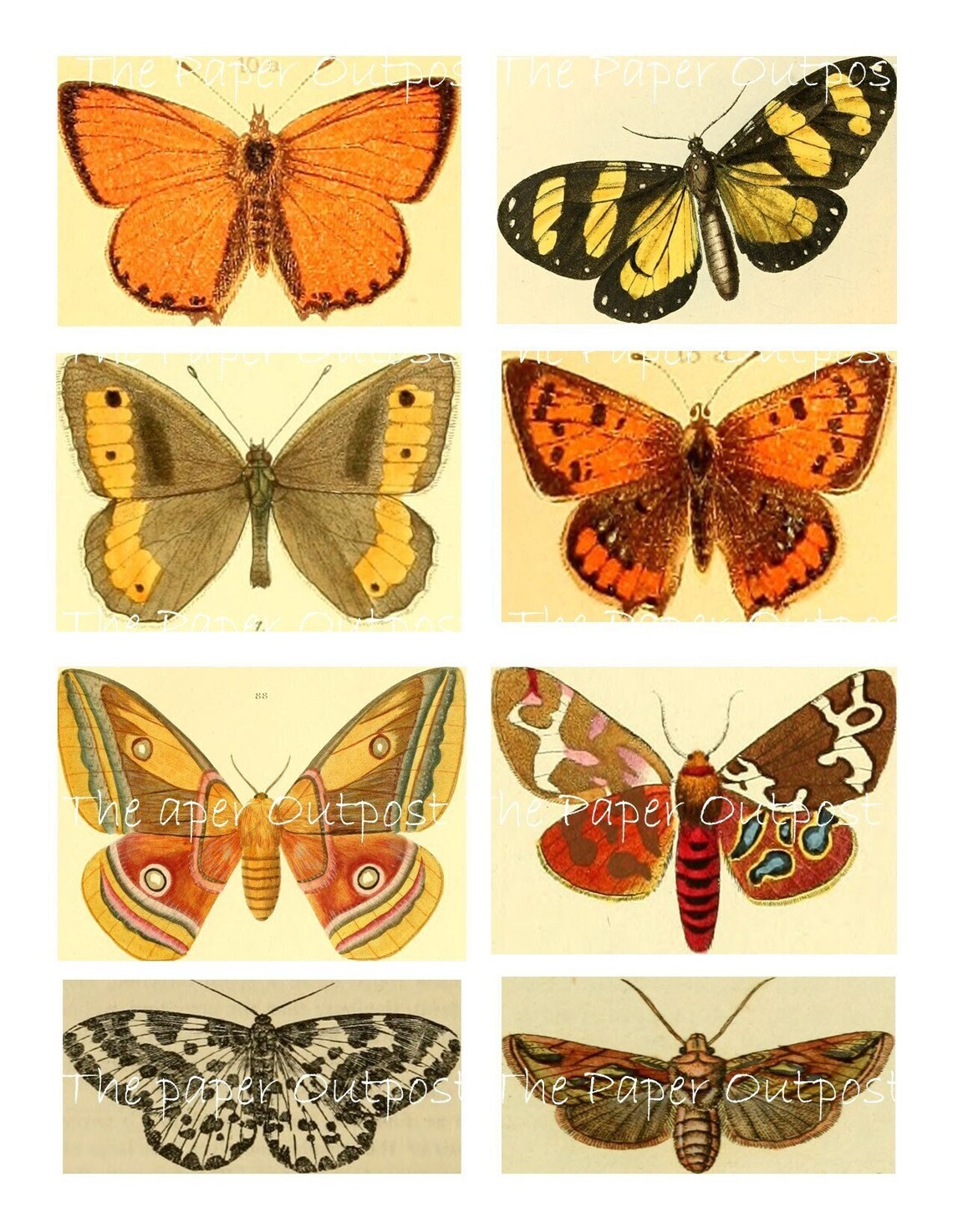 Flutterbys Vintage Digikit Digital Kit Digital Printable - Etsy