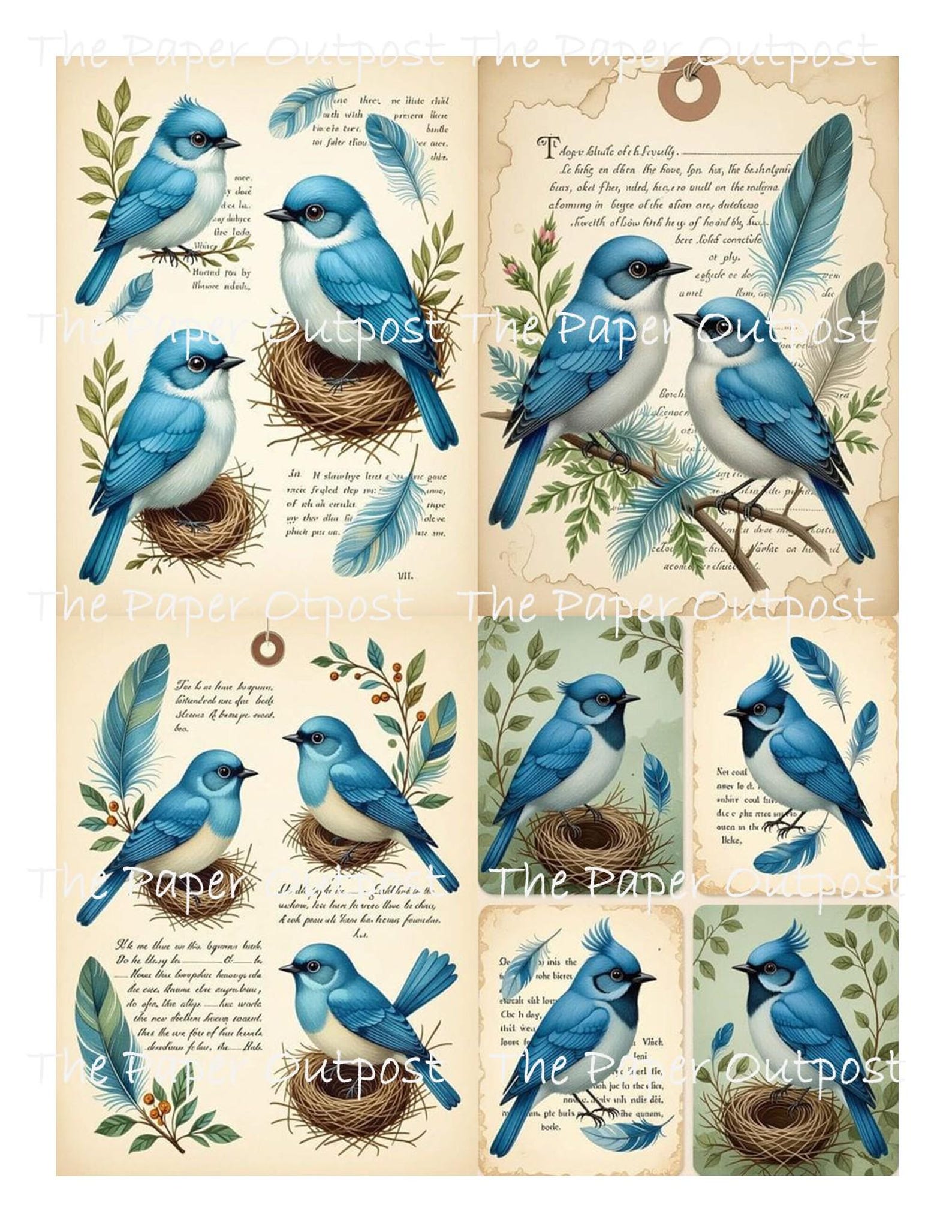 BLUE SONGBIRD Digikit Digital Printable Digital Blue Birds, Blue Song ...