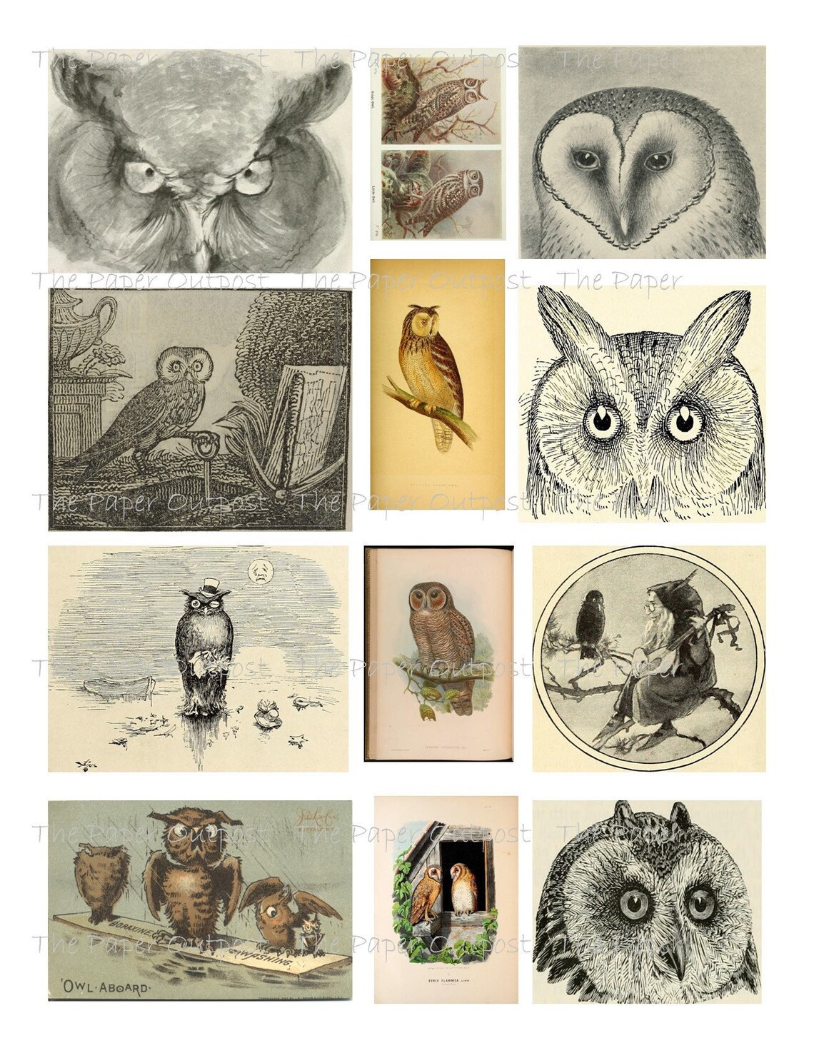 Owl 2 Printable Digital Download Printable Image Digikit - Etsy