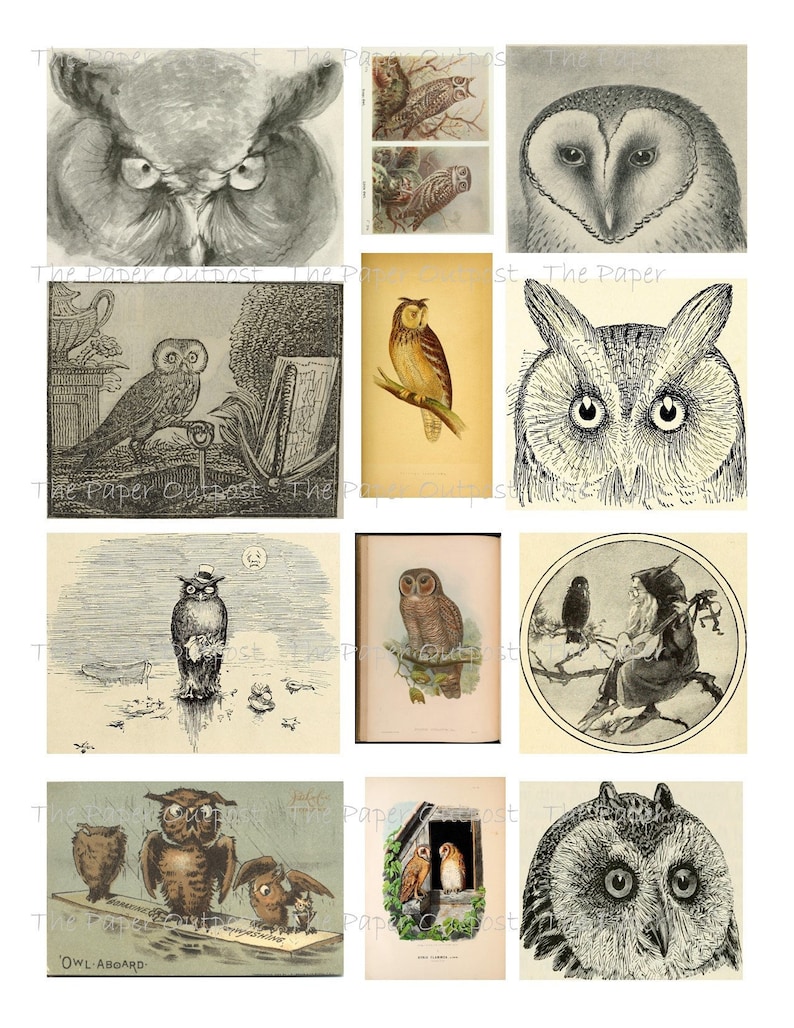 Owl 2 Printable Digital Download Printable Image Digikit - Etsy