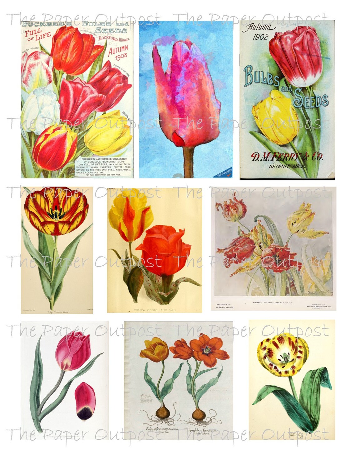 TULIPS TULIPS Digikit Digital Printable Printables Digikits - Etsy