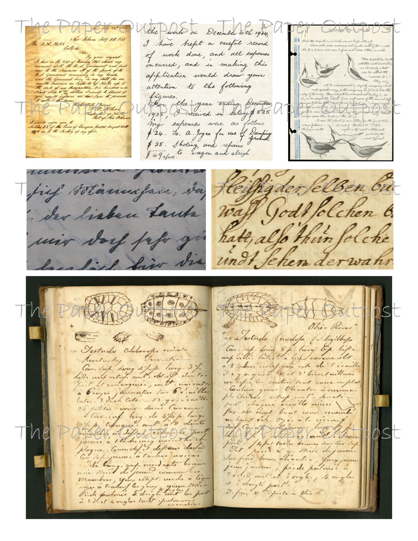 HANDWRITTEN SCRIPT Printable Digital Download Printable Image - Etsy