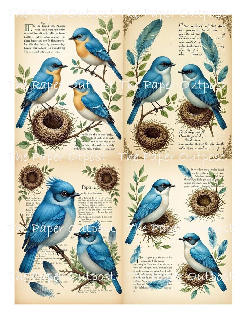 BLUE SONGBIRD Digikit Digital Printable Digital Blue Birds, Blue Song ...
