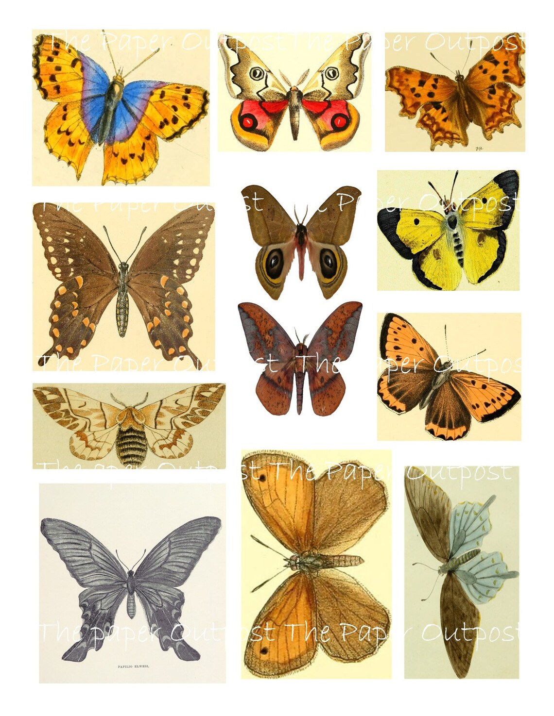 Flutterbys Vintage Digikit Digital Kit Digital Printable - Etsy