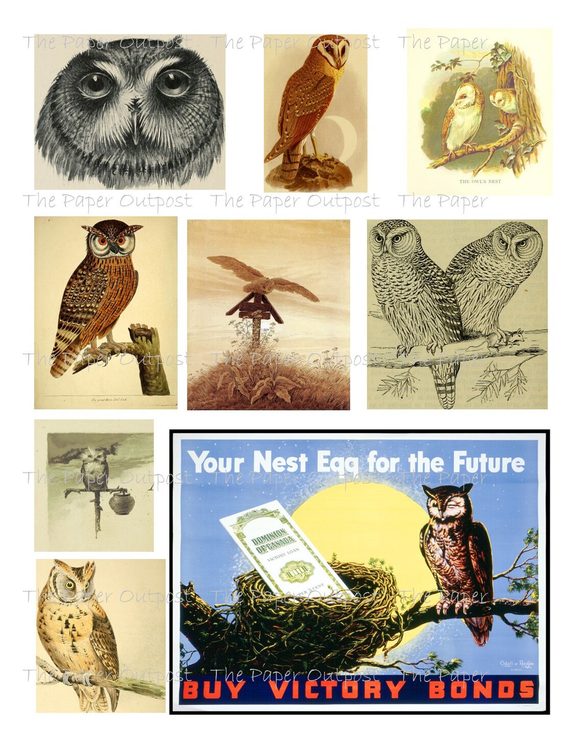 Owl 2 Printable Digital Download Printable Image Digikit - Etsy