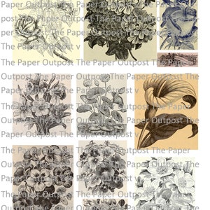 Black and White Flowers Tonal Digital Printable Kit Digital Kit Digi ...