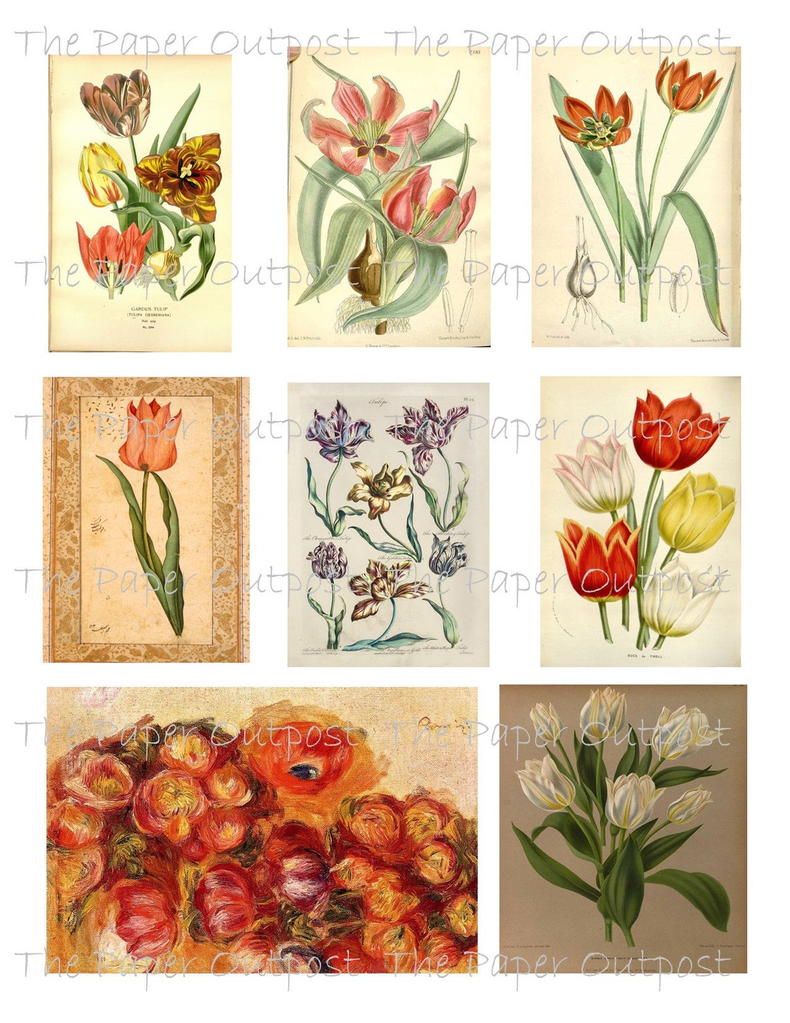 TULIPS TULIPS Digikit Digital Printable Printables Digikits - Etsy