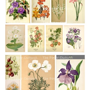 Precious Flowers Digikit Digital Kit Digital Printable Digital Digi Kit ...