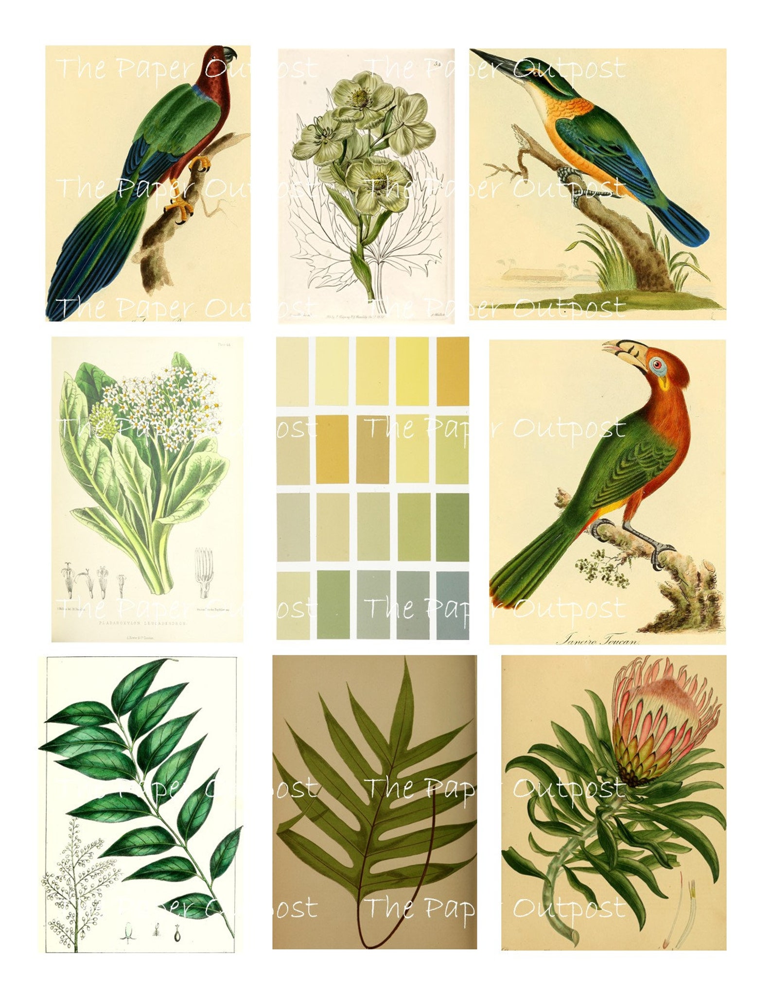 Green Vintage Theme Digikit Digital Kit Digital Printable - Etsy