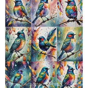 Rainbow Bird Digital Collage Kit: Printable Songbird Images (digital ...