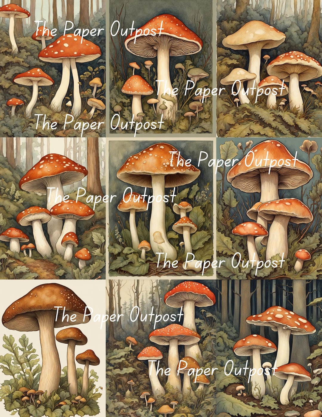 Vintage Mushroom Botanical Illustration: Printable Mushroom Digikit ...