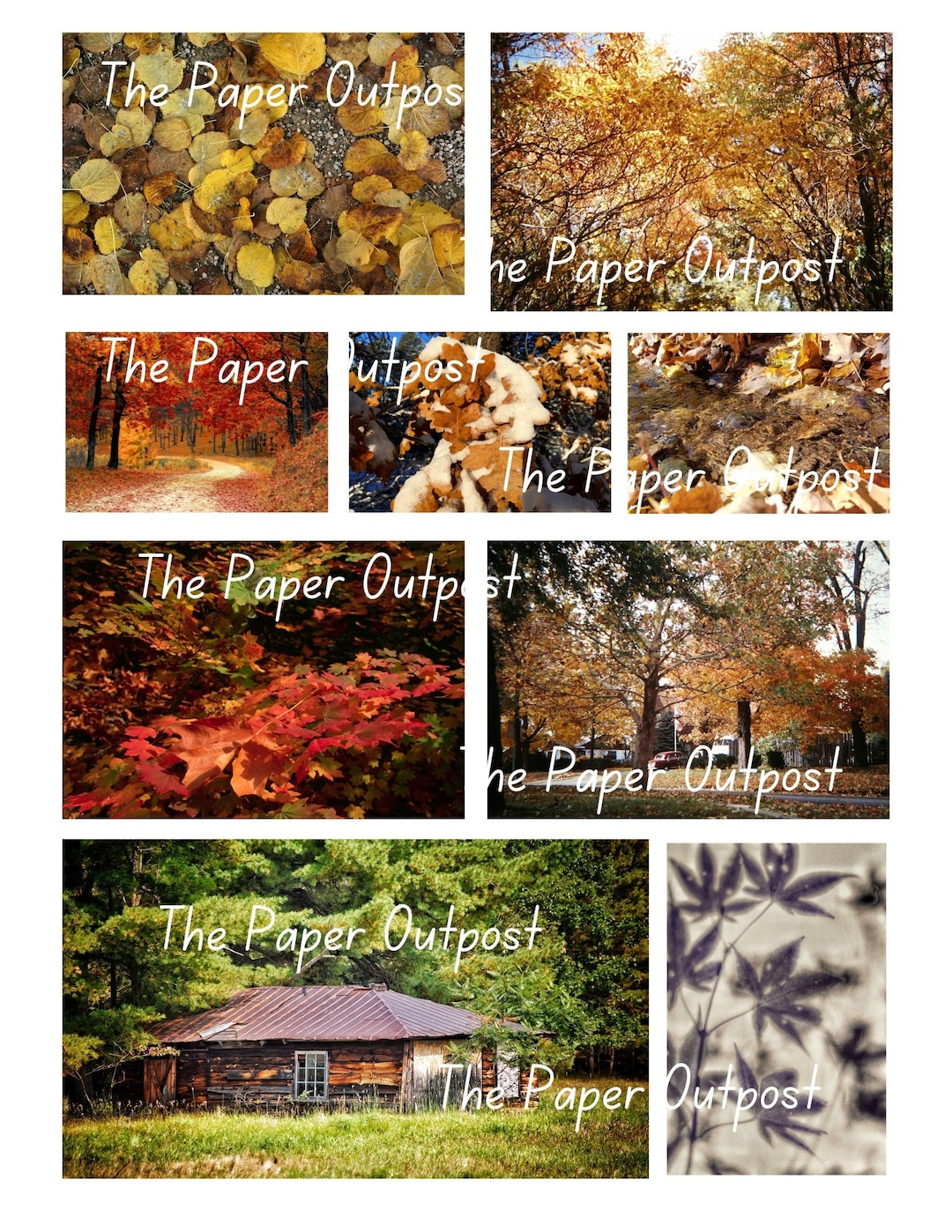 Autumn Dried Leaves Printable: Fall Scrapbook Paper (digital Download ...
