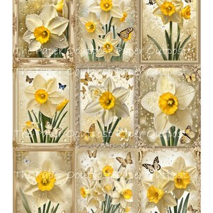 Daffodil Diary: Vintage Floral Printable Paper (digital Kit) - Etsy