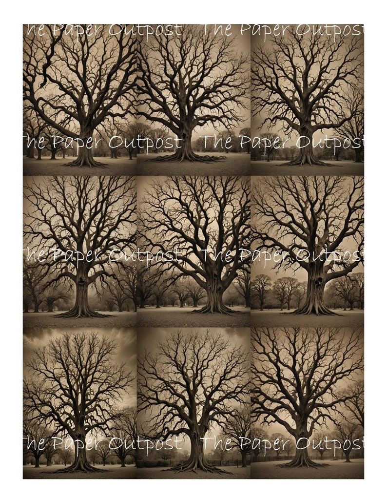 Spooky Tree Printable Images: Digital Scrapbook Kit (digital Download ...