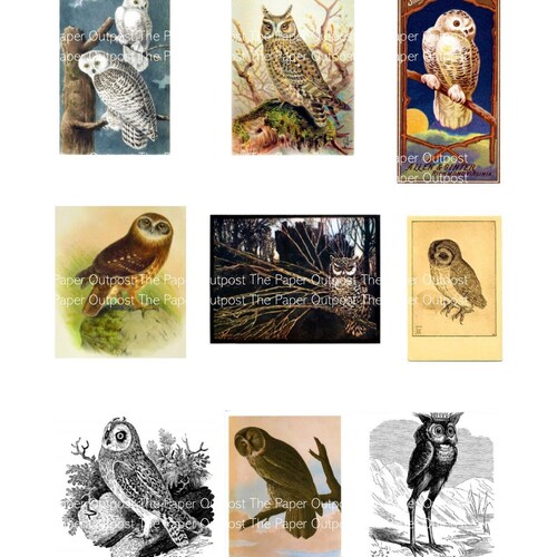Vintage Owl Printable Paper Woodland Journal Paper - Etsy