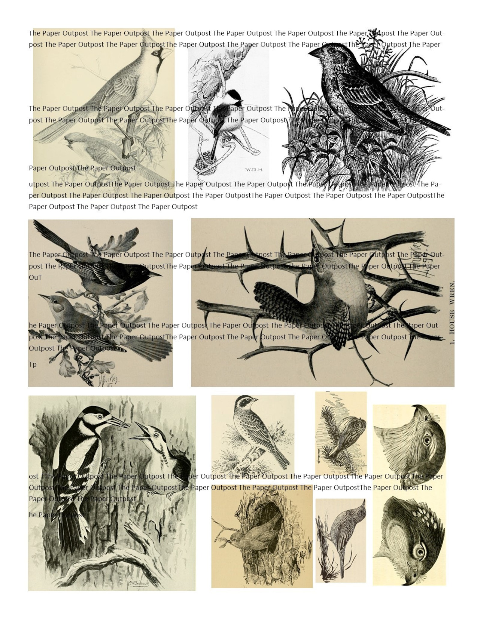 Birds Black & White Birds Tonal Digital Printable Kit Digital | Etsy