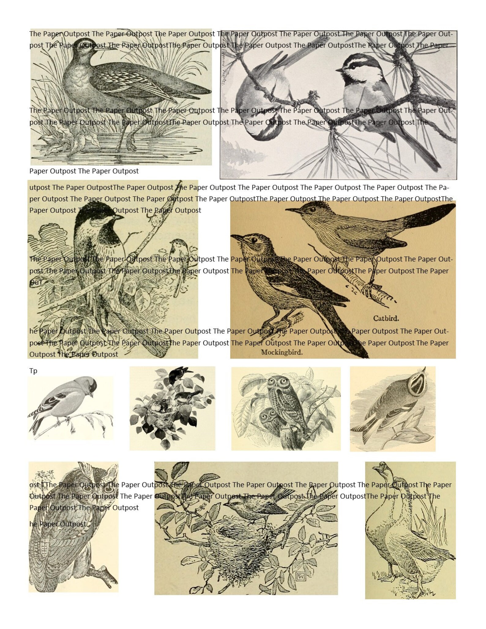 Birds Black & White Birds Tonal Digital Printable Kit Digital | Etsy