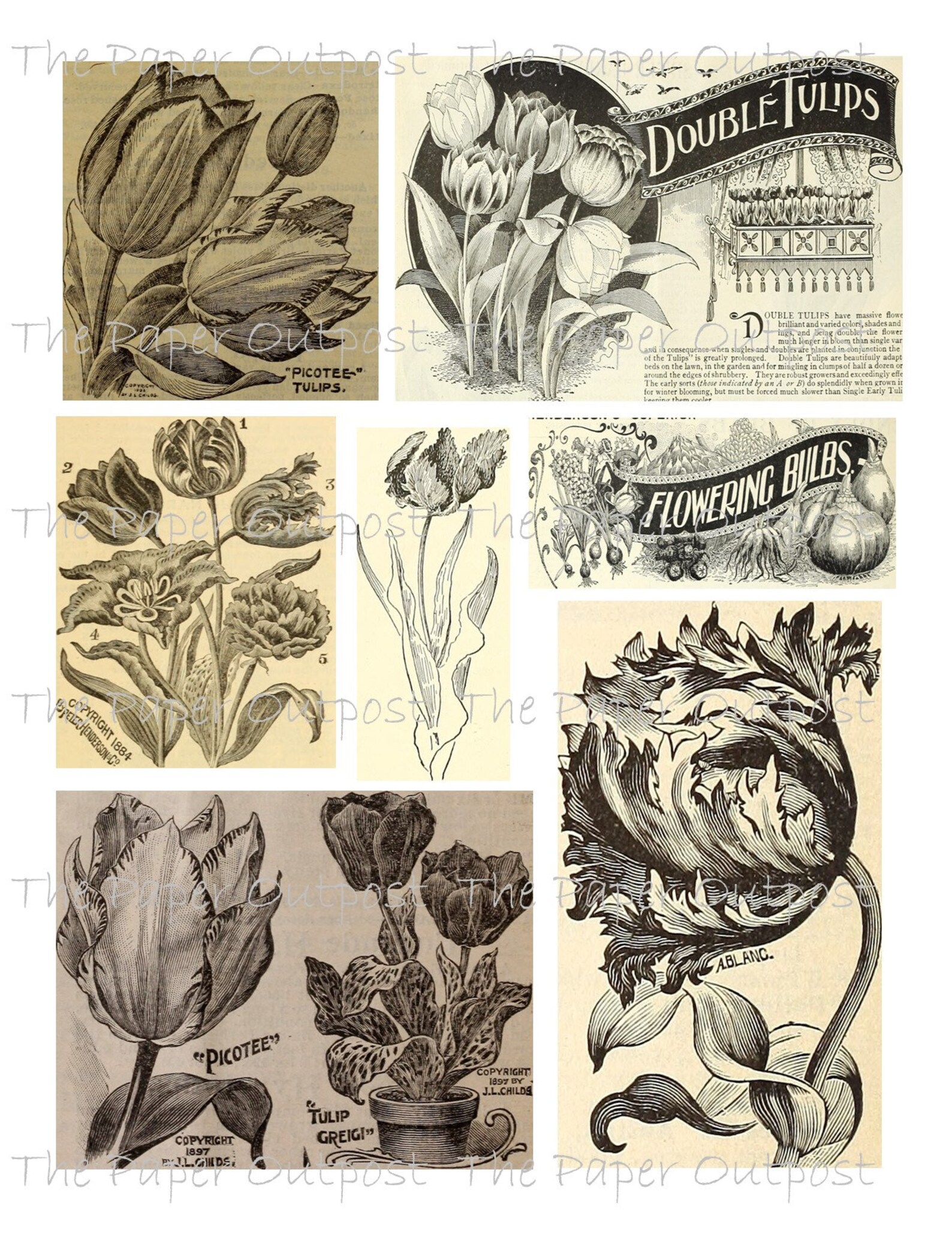 TULIPS TULIPS Digikit Digital Printable Printables Digikits - Etsy