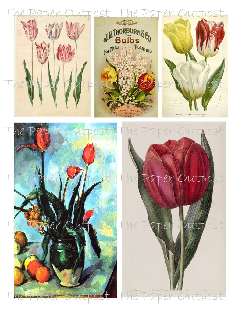 TULIPS TULIPS Digikit Digital Printable Printables Digikits - Etsy