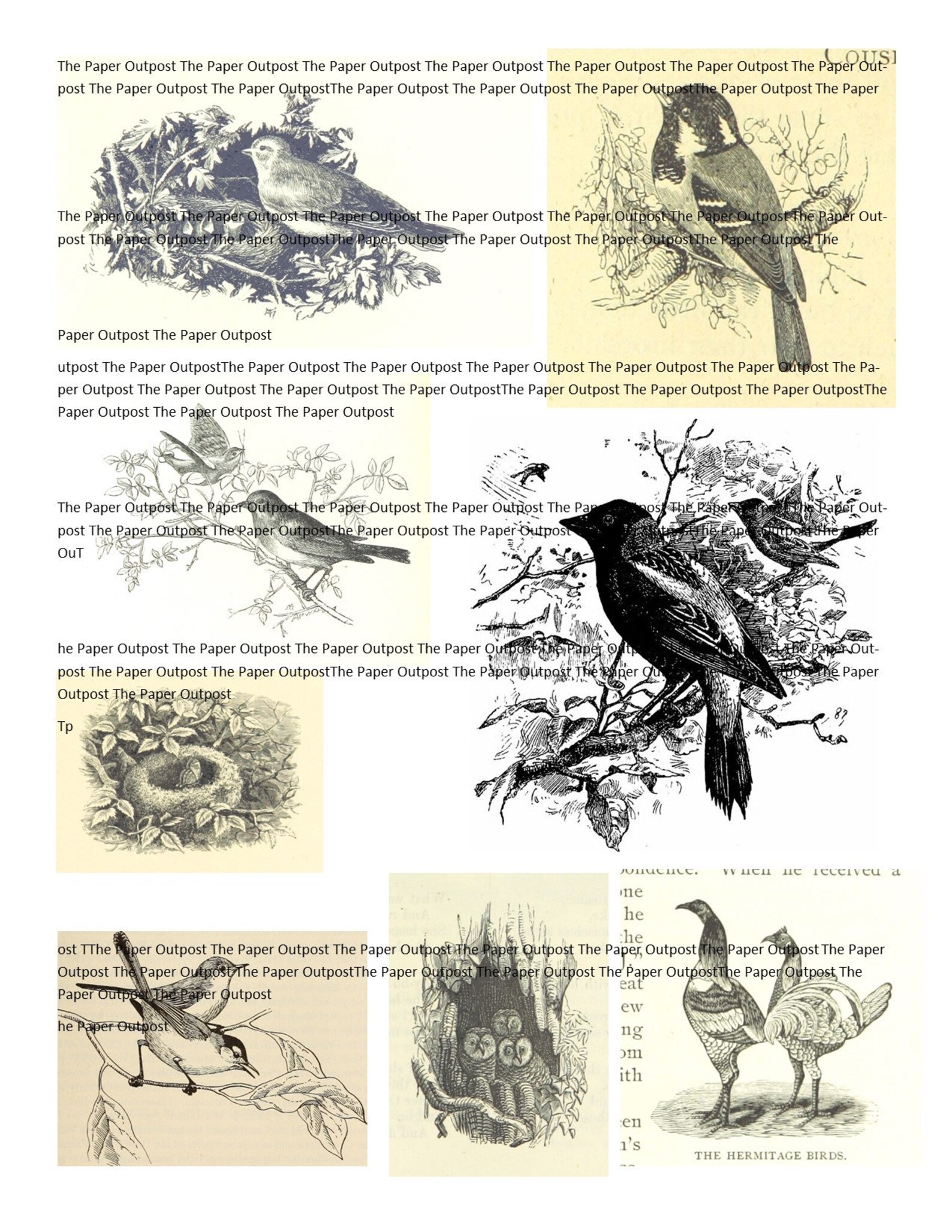 Birds Black & White Birds Tonal Digital Printable Kit Digital | Etsy
