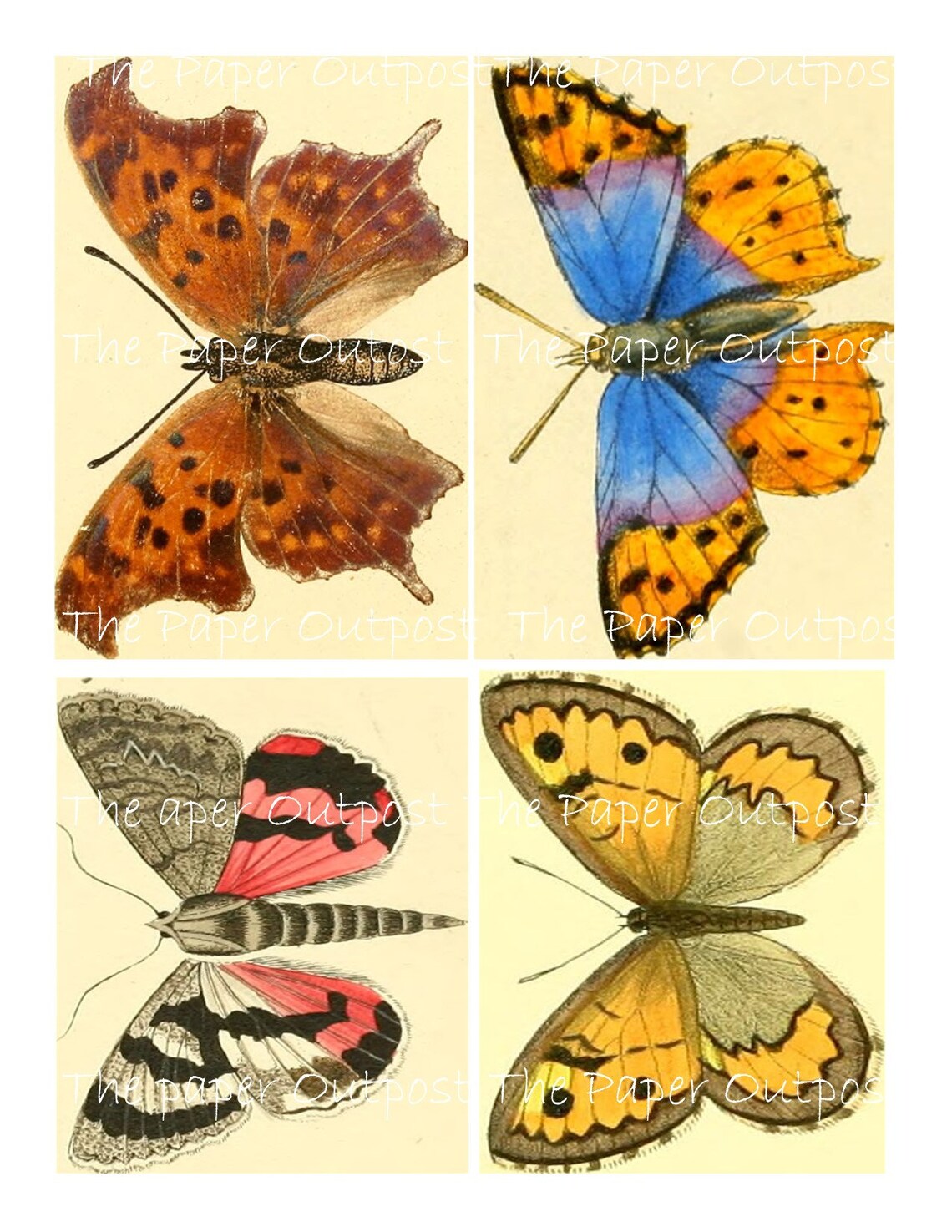 Flutterbys Vintage Digikit Digital Kit Digital Printable - Etsy