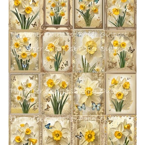 Daffodil Diary: Vintage Floral Printable Paper (digital Kit) - Etsy