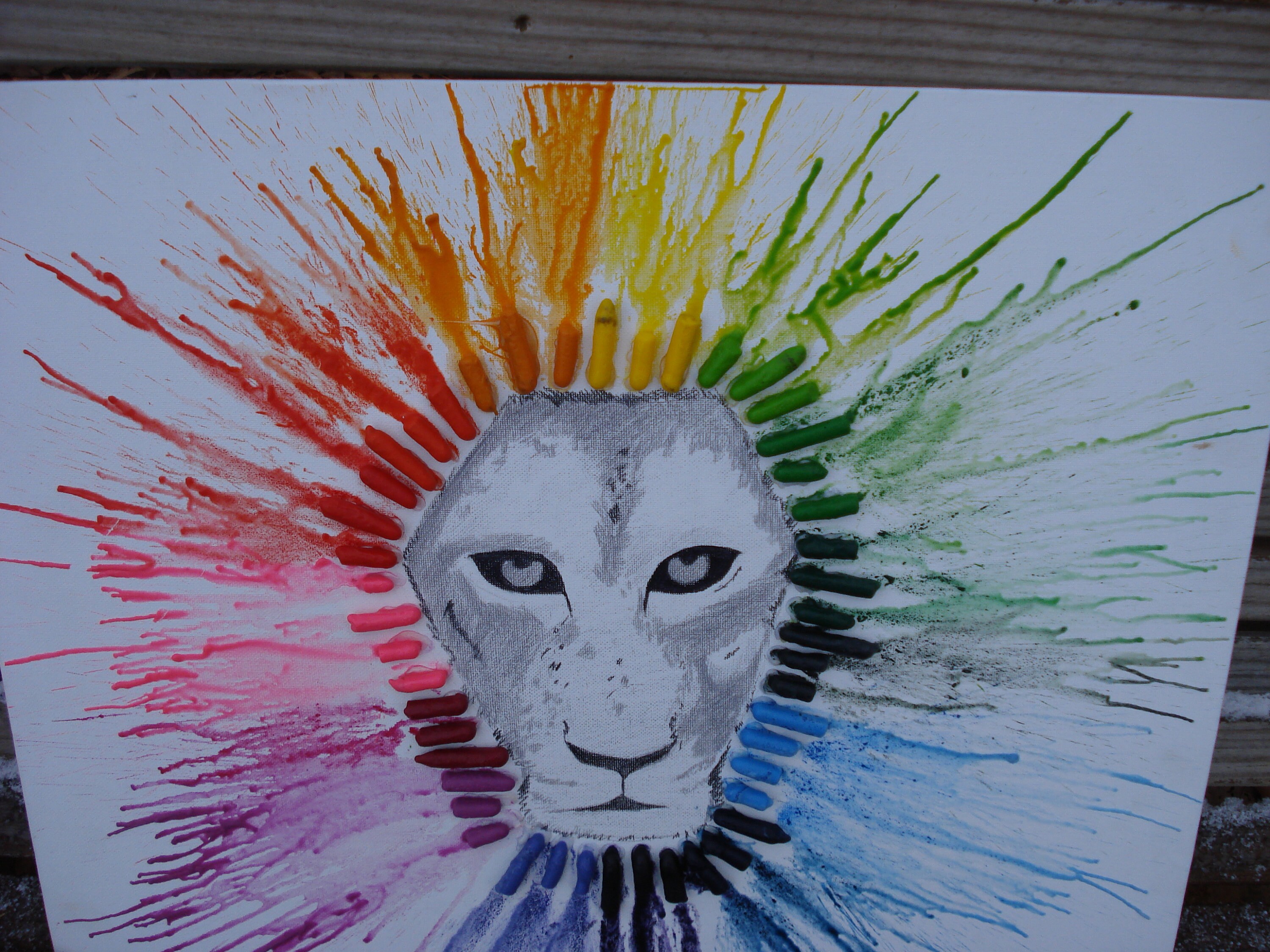 Lion Melted Crayon Art