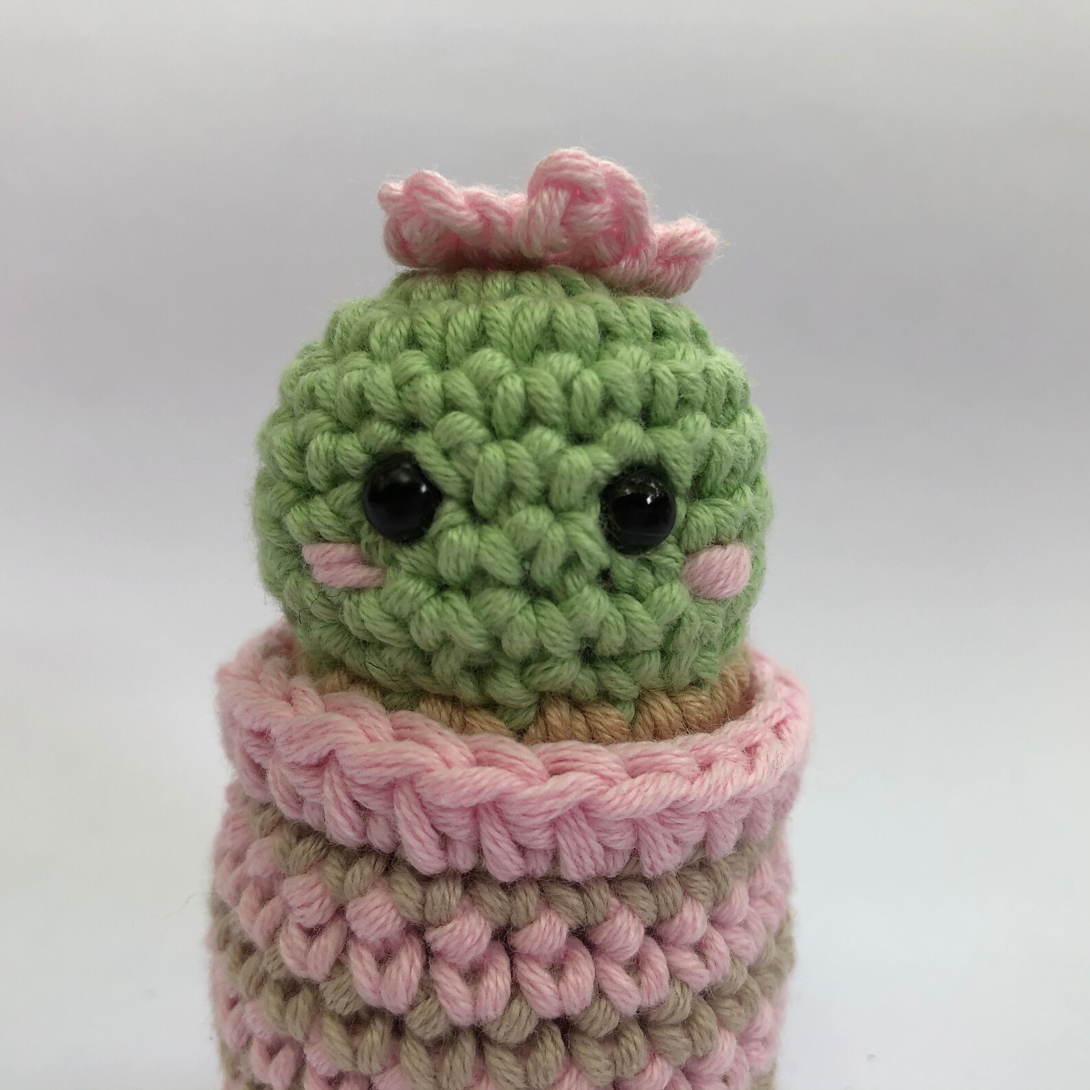 Mini Carlos the Cactus Crochet Figure - Etsy