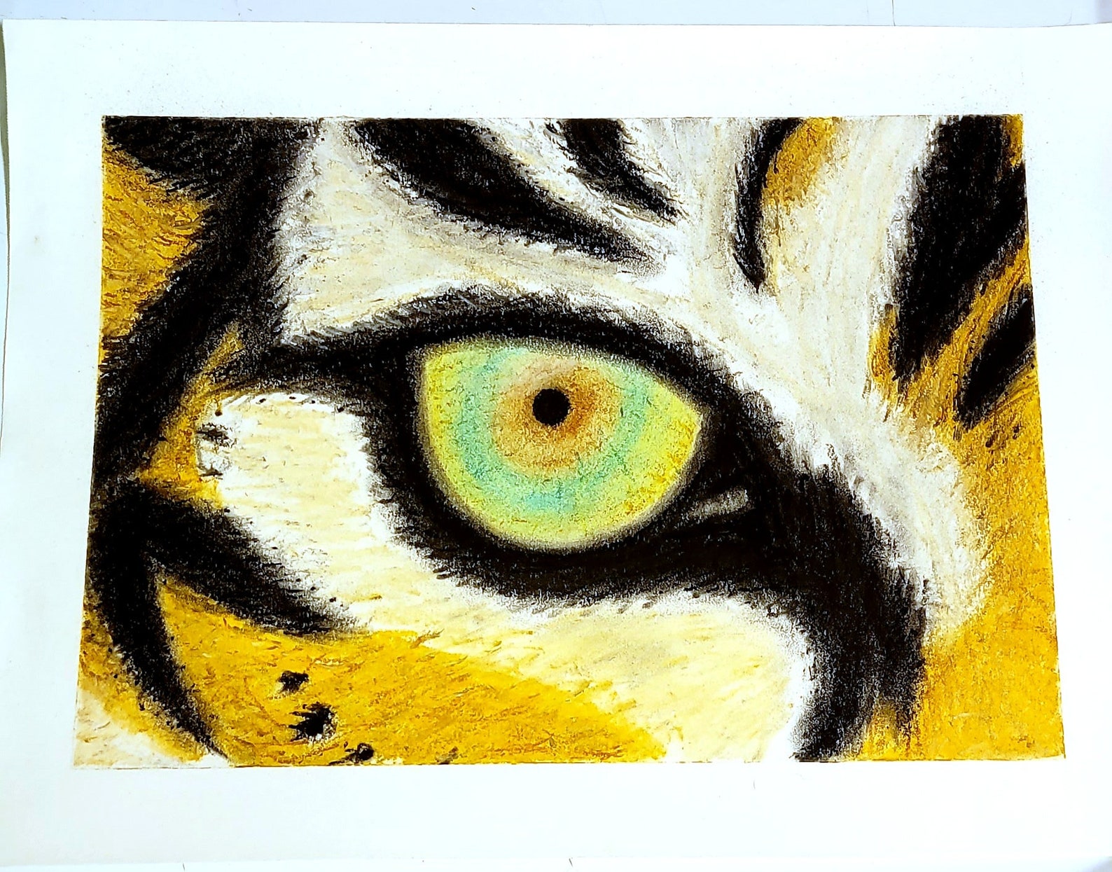Tiger Eye Original Art in pastel | Etsy