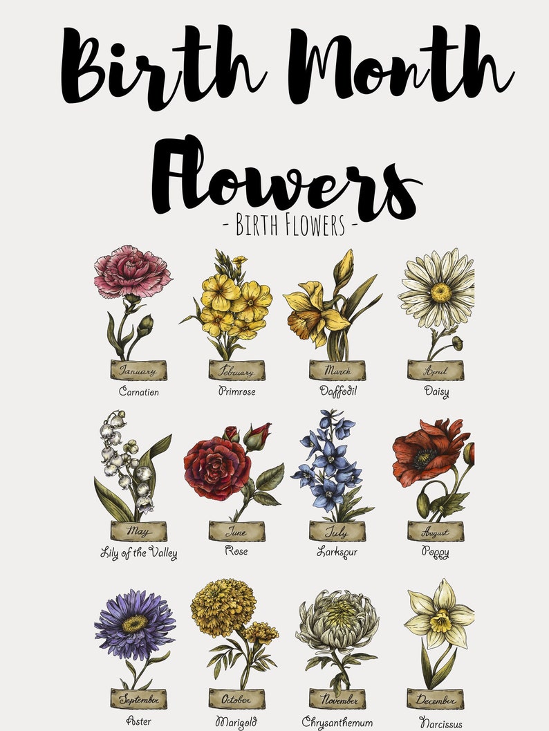 Birth Month Flowers, PDF, Digital Download - Etsy