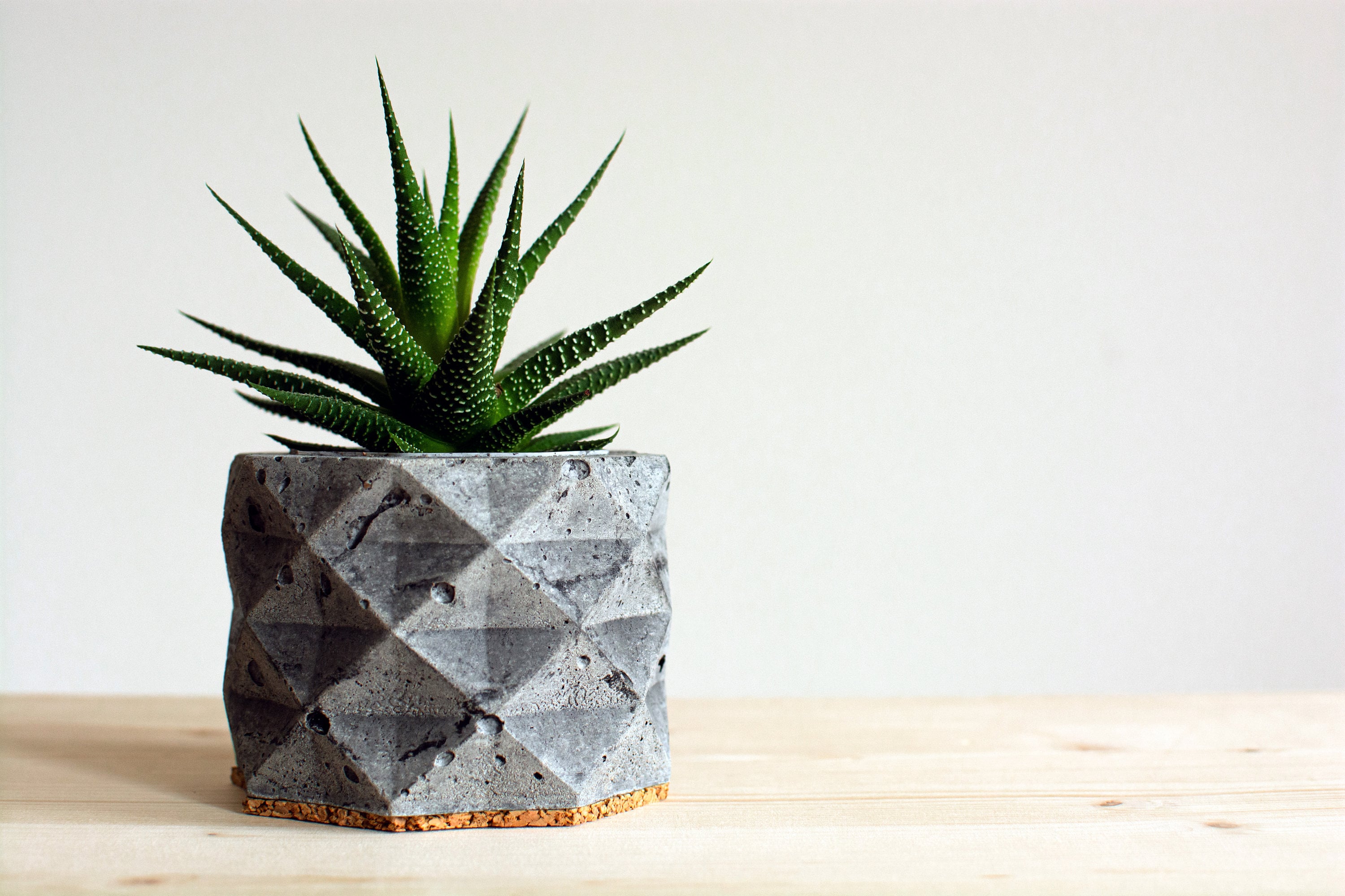 Geometric Concrete Planter | Concrete Decor | Succulents Pot | Plant ...
