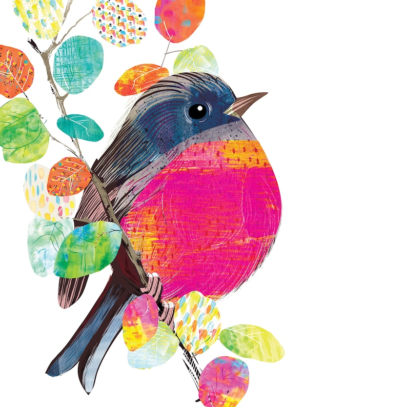 Pink Robin Australian Native Birds Art Print - Etsy
