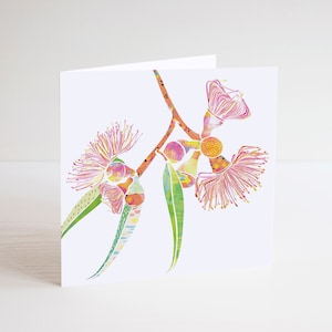 Mini Card Set of 8 Australian Native Flowers Note Cards Native Flora ...